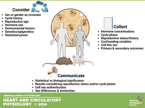 Guidelines On The Use Of Sex And Gender In Cardiovascular Research