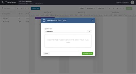 Import To Timeline Pulse Project Management Software