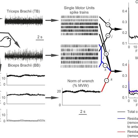 Recordings Of High Density Emg Signal And Data Analysis High Density Download Scientific