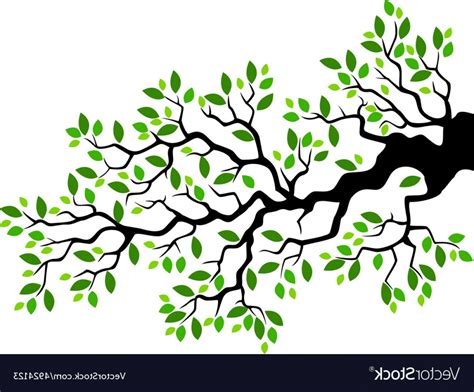 Tree Branch Vector At Vectorified Com Collection Of Tree Branch Vector Free For Personal Use