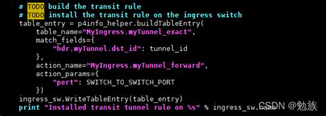 P4 Tutorials P4runtimep4 Tutorials P4runtime Csdn博客