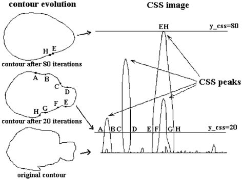 CSS Image Formation Download Scientific Diagram