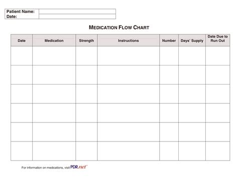 Patient Chart Template
