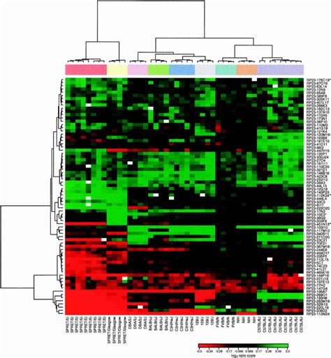 Agglomerative Hierarchical Clustering Of 74 Regions Of Sequence Download Scientific Diagram