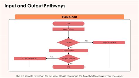 Columnar Organization Of Somatosensory Cortex Ppt Graphics Acp Ppt Example