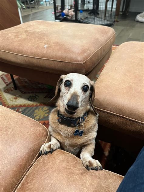 Elliott 14 Was So Desperate For Thai Food That He Jumped Up And Cried