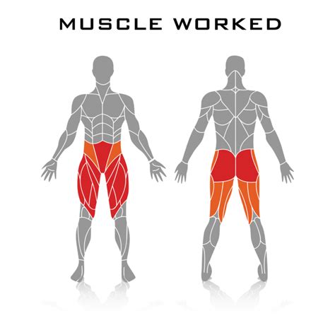 How To Do Flutter Kicks Form Muscles Worked And Techniques Squatwolf Au