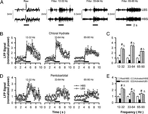 Lfp Signals In The Gcl Under Different Brain States Generated By