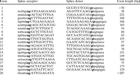 Exon Intron Junction Sequences Of The TSA305 Gene Download Table
