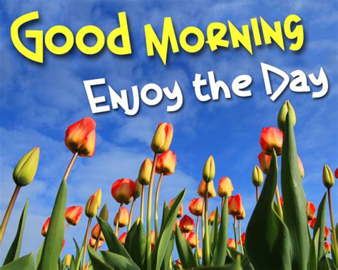 Sexy Good Afternoon Quotes Quotesgram