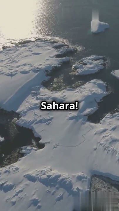 The Worlds Largest Desert Is Freezing 🥶🌨️ Youtube