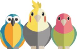 Dna Sexing Animetics