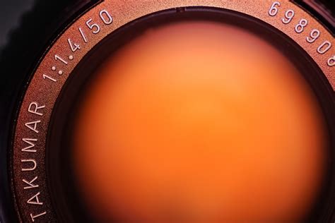 무료 이미지 사진술 색깔 닫다 현창 눈 일 거시대 흠 모양 Ilce7m2 272e Tamron90mmf28macro 매크로 사진 토륨 시간을