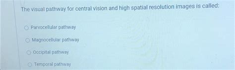 Solved The Visual Pathway For Central Vision And High
