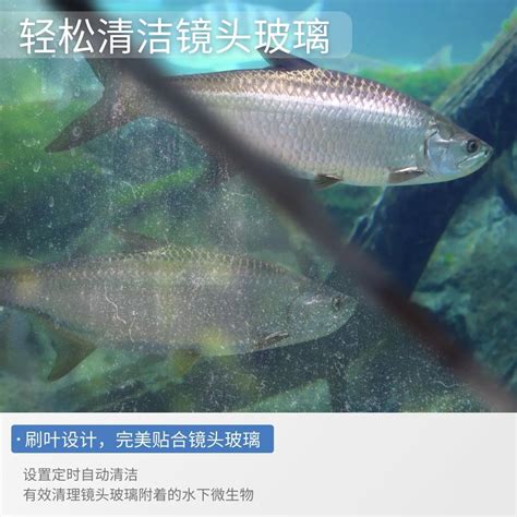智能雨刷清洁水下高清摄像机 深圳市水秘探科技有限公司