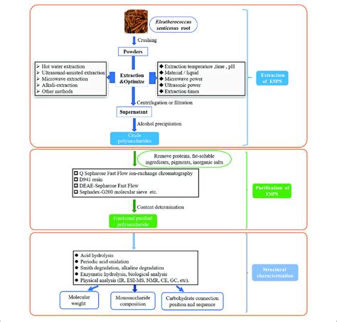Schematic Diagram Of Extraction Purification And Structural