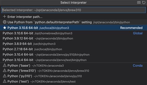 Selected Conda Interpreter Is Not Recognized As Conda When Using Tokens