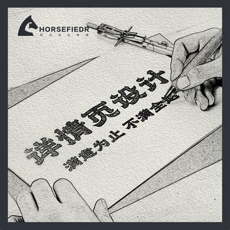 淘宝京东店铺装修产品详情页设计定制网页美工主图视频剪辑拍摄 虎窝淘