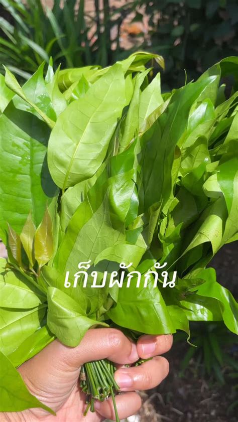 Kin Duem Kin Duem • Instagram Photos And Videos