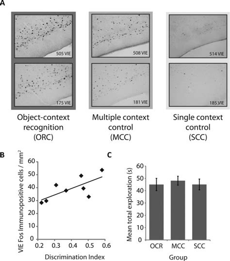 Lec Activation During Novel Object Context Recognition Experiment 1 Download Scientific