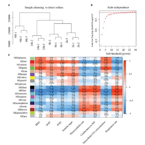 Results Of Wgcna Based On The Gene Expression Level And Phenotypic Download Scientific Diagram