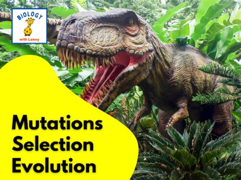 Gcse Igcse Biology Selection And Adaptation Evolution Teaching Resources