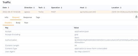 Preventing Pii In Test Environments Speedscale
