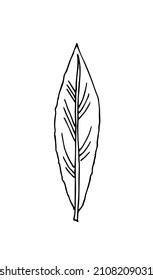 Tree Leaf Hand Drawing Outline Sketch Stock Vector Royalty Free 2108209031 Shutterstock