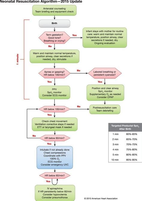 Aha 2015 Neonatal Resuscitation Algorithm Neonatal Pediatric Nursing Newborn Nursing