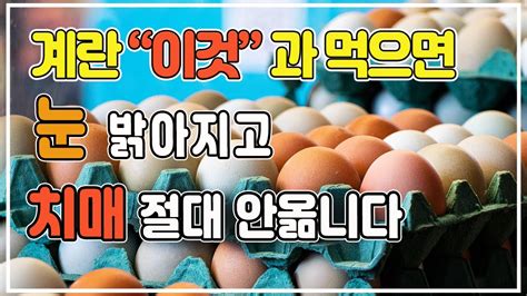 계란을 이것과 같이 먹으면 초기 치매가 싹 자라진다 계란과 같이 먹으면 좋은음식 7 눈이 밝아지고 계란효능 Youtube