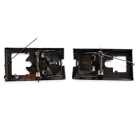 Metal Mouse And Rat Traps Diy Tools
