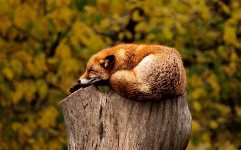 Cómo mantener mi API RESTful