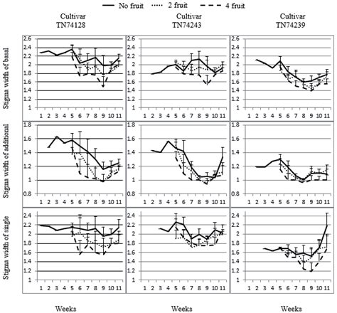 Stigma Width Of Basal Additional And Single Flower In Millimeter In Download Scientific