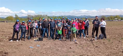 Eso Electricity System Operator Ead Eso Ead Twitter