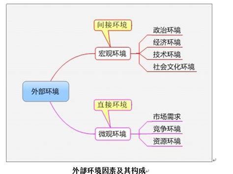 战略：内外环境分析