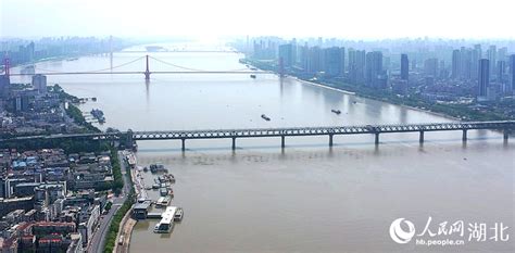 The Government Of Wuhan