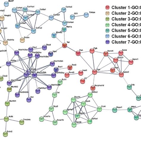 Stringdb Clustering Analysis Of Peptides Significantly Increased 28
