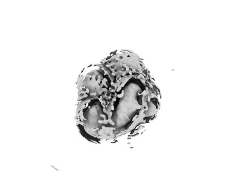 non uniform refinement 3d refinement cryosparc discuss