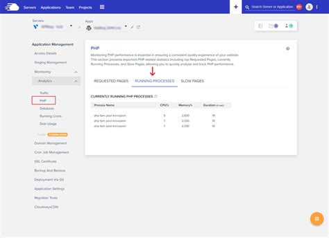 Application Performance Monitoring Tool By Cloudways