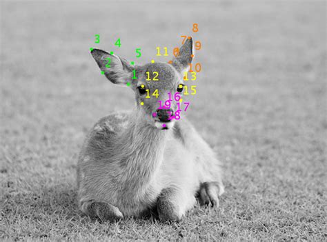 Learning A Mixture Of Hierarchical Sparse Frame Models For Clustering