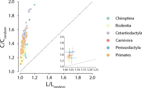 A Connectomics Based Taxonomy Of Mammals Elife