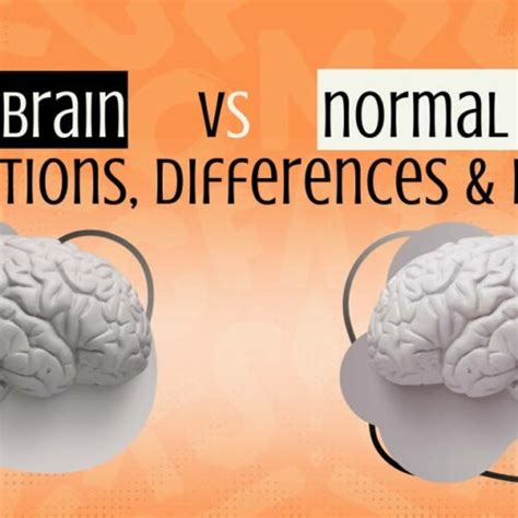 Adhd Brain Vs Normal Brain Functions Differences And More