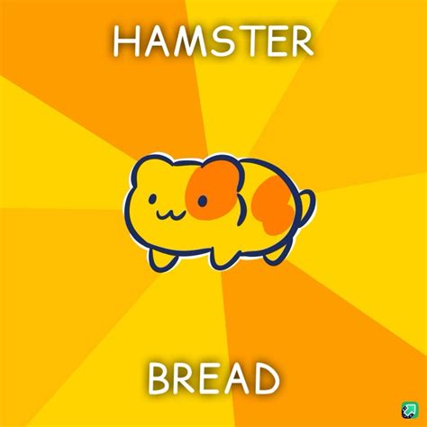 Ham Sammy Meme On Imgur