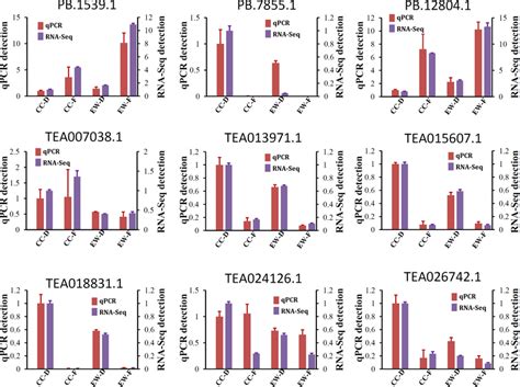 The Comparison Of Expression Levels Detected By RNA Seq And RT QPCR Of