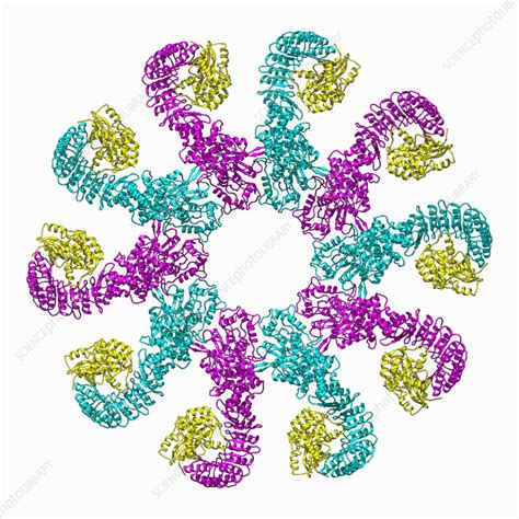 Inflammasome Disk Illustration Stock Image C057 5122 Science