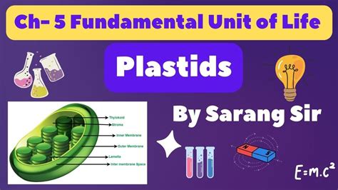 Plastids Class Science Chapter The Fundamental Unit Of Life Biology Biologyclass