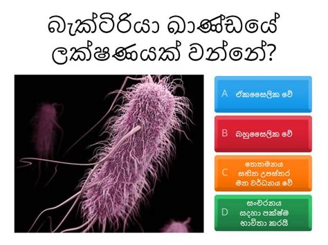 ක්ෂුද්‍ර ජීවීන්ගේ භාවිත Quiz