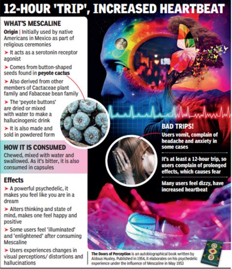 Mescaline From Mexican Labs To Delhi Party Circles Cactus Derived