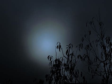 Spooky Or Eerie Look With Fog Or Mist Over Moon Soft Focus Night
