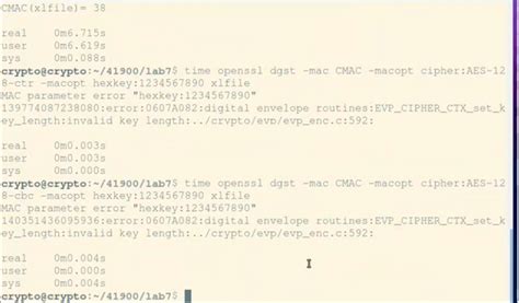 Explain Why The Last Two Commands Are Failed